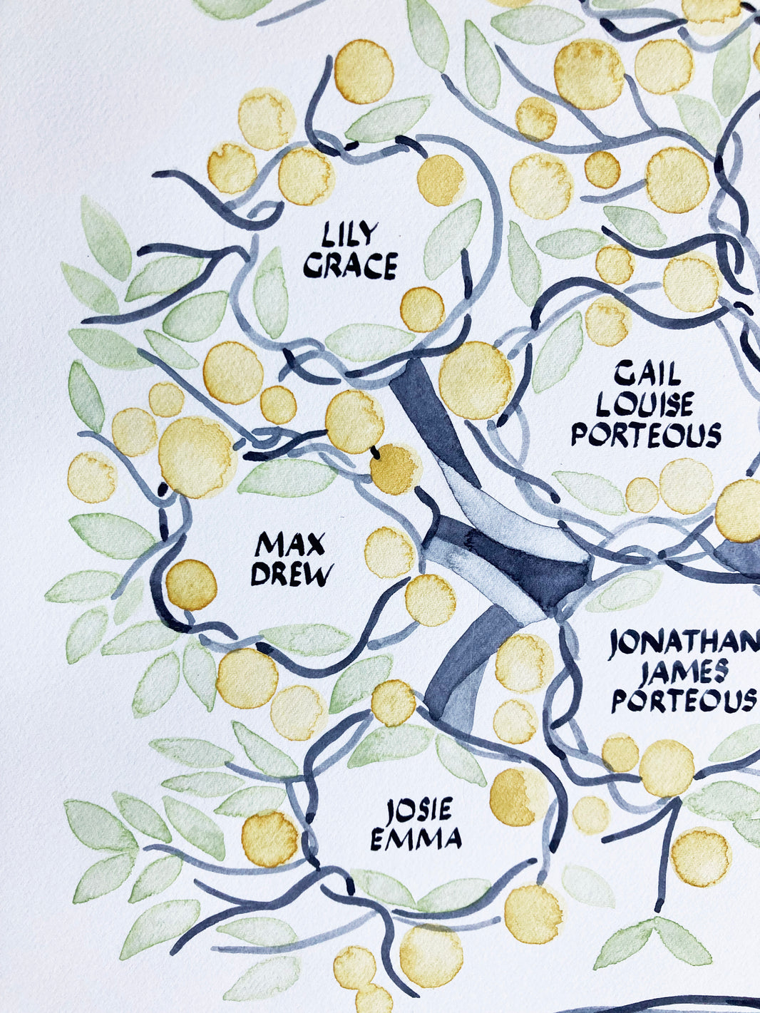 ANCESTRY & FAMILY TREES – ElenaBerlo OnceUponaPaper™